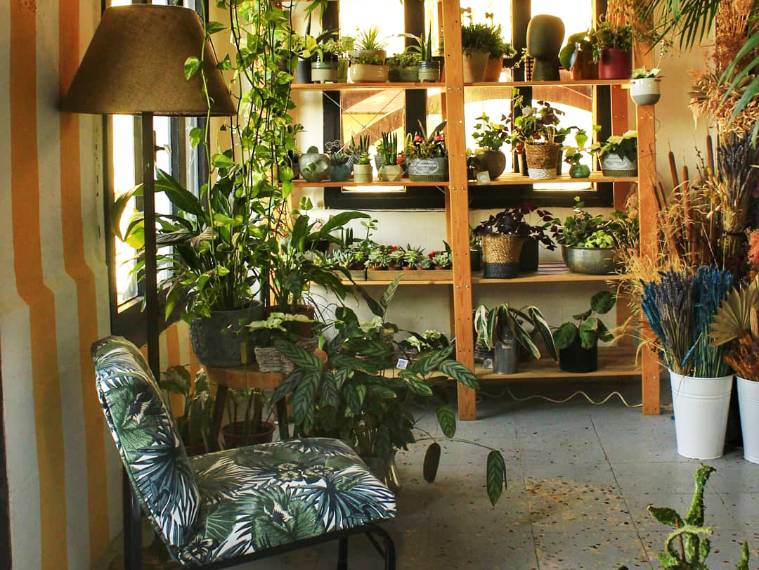 Plantsta Botanik & Cafe: İzmir’in Yemyeşil Botanik Cafesi • theMagger