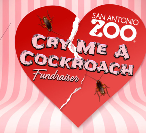 Haberler • theMagger