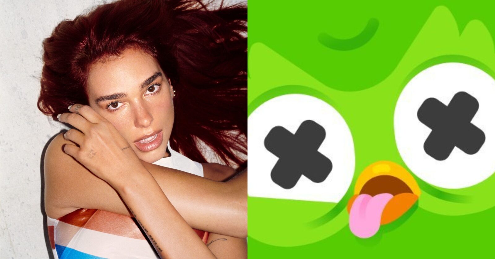 Pop Kültürü ve “Gerçek Zamanlı” Marketing: Duolingo’nun Baykuşu Öldü ...