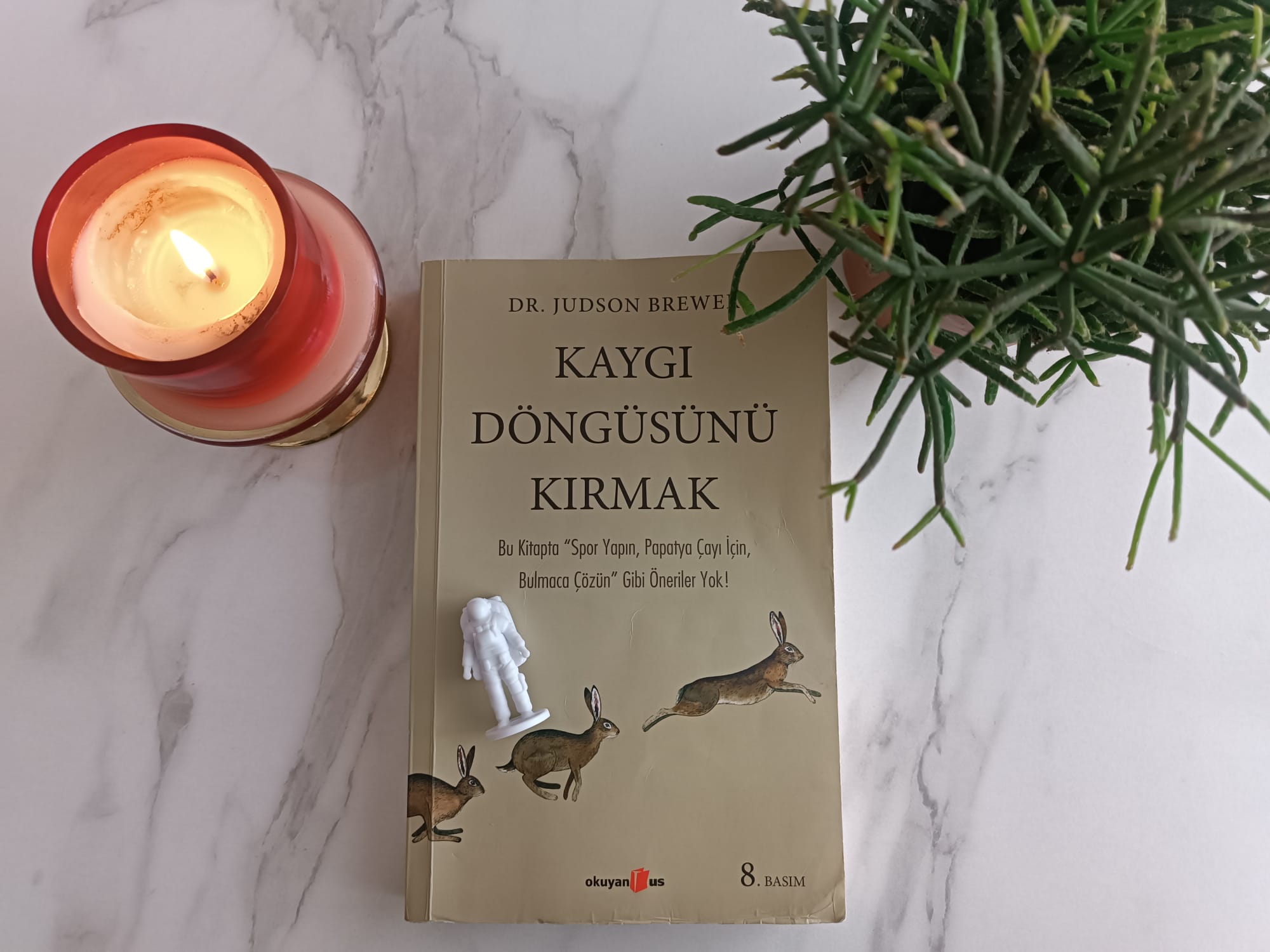 Kaygı Döngüsünü Kırmak: Dr. Judson Brewer’dan Tavsiyeler • theMagger